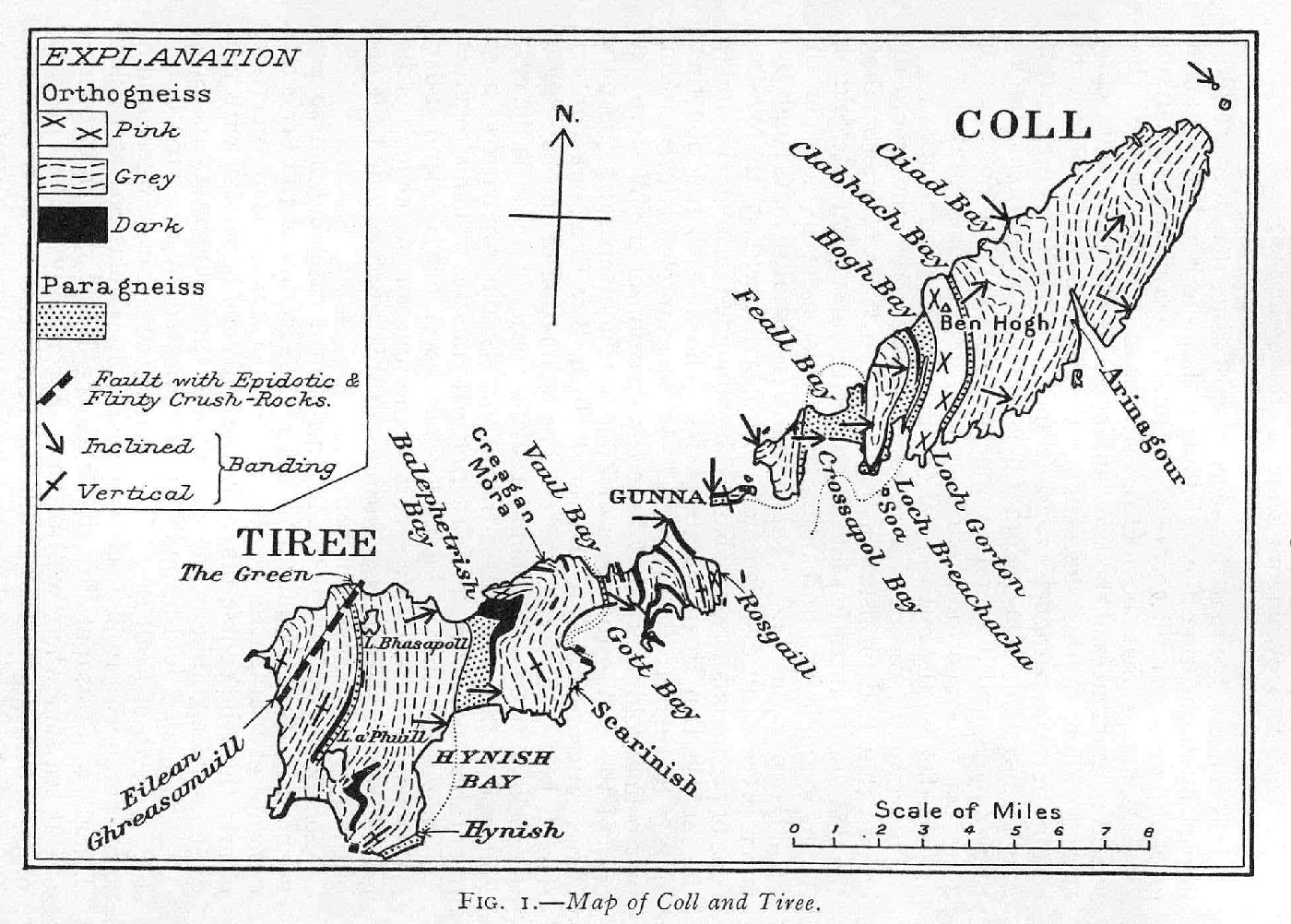 The geology of Ardnamurchan, north-west Mull and Coll. Memoir for ...