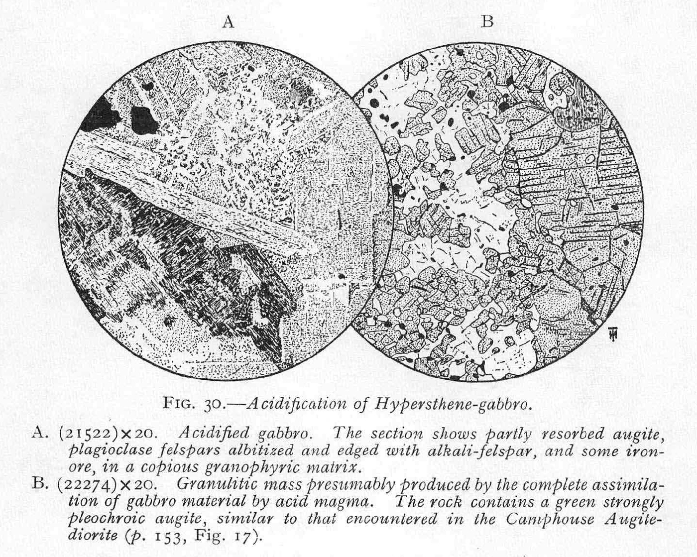 The geology of Ardnamurchan, north-west Mull and Coll. Memoir for ...