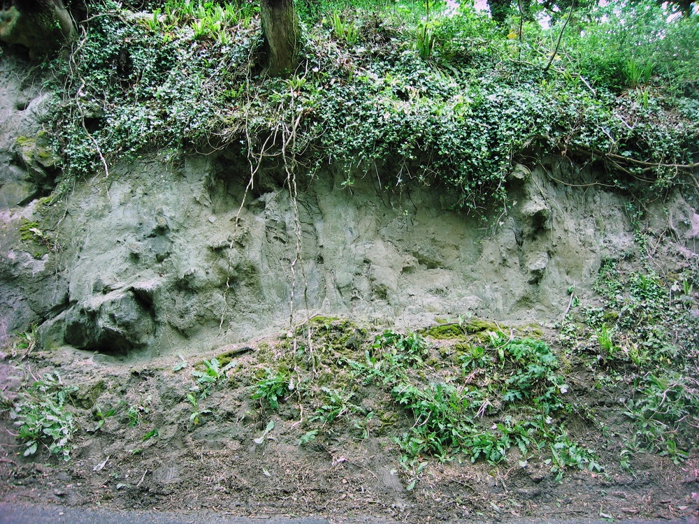 IOW Geological description | GeoGuide