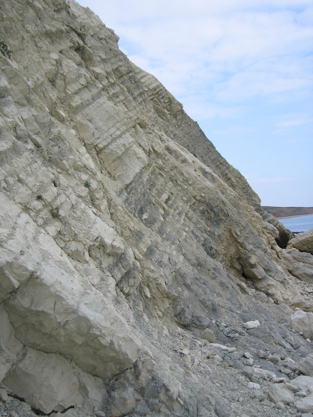 IOW Geological description | GeoGuide