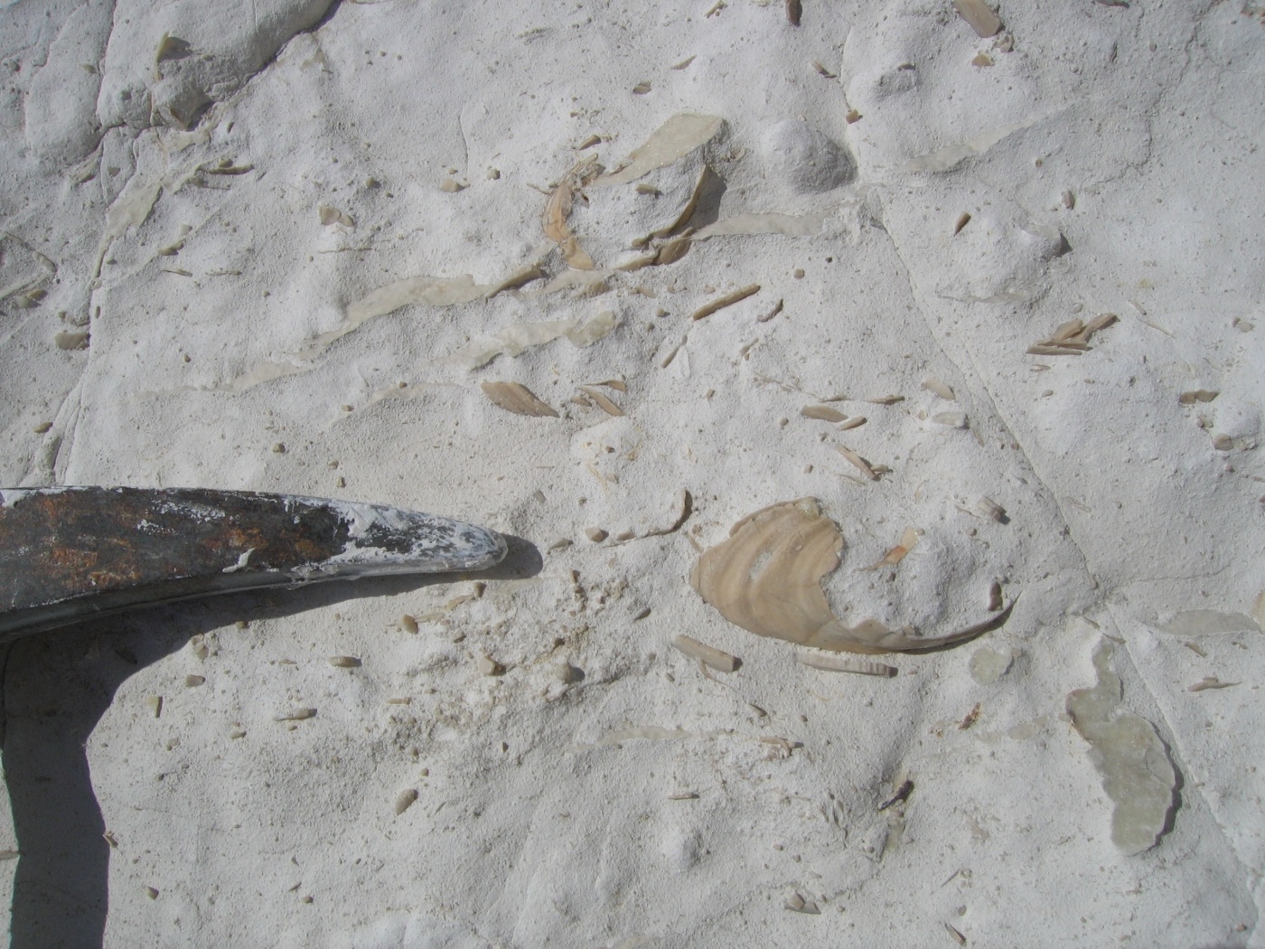 IOW Geological description | GeoGuide