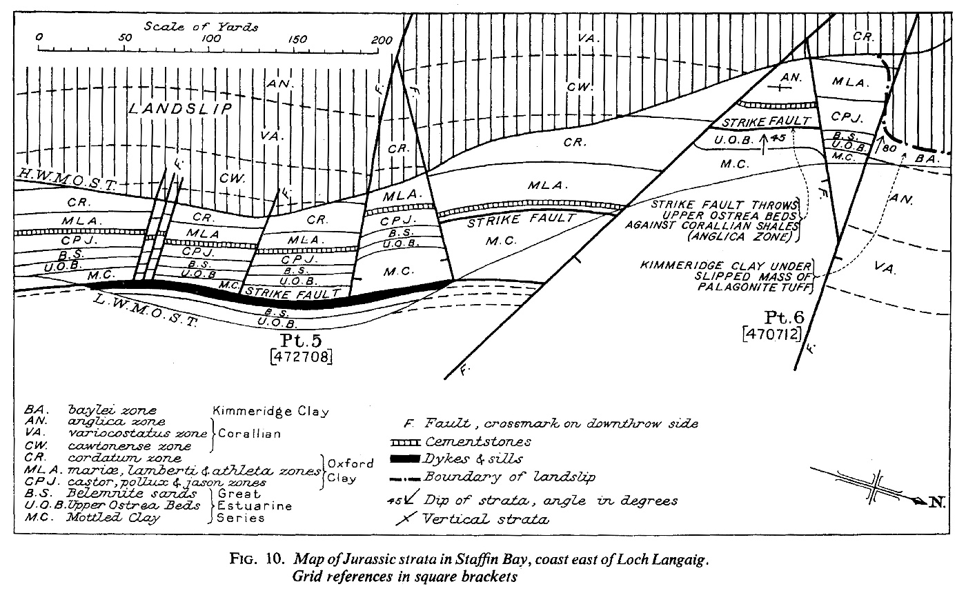 Chapter 3 Jurassic: Great Estuarine Series | GeoGuide