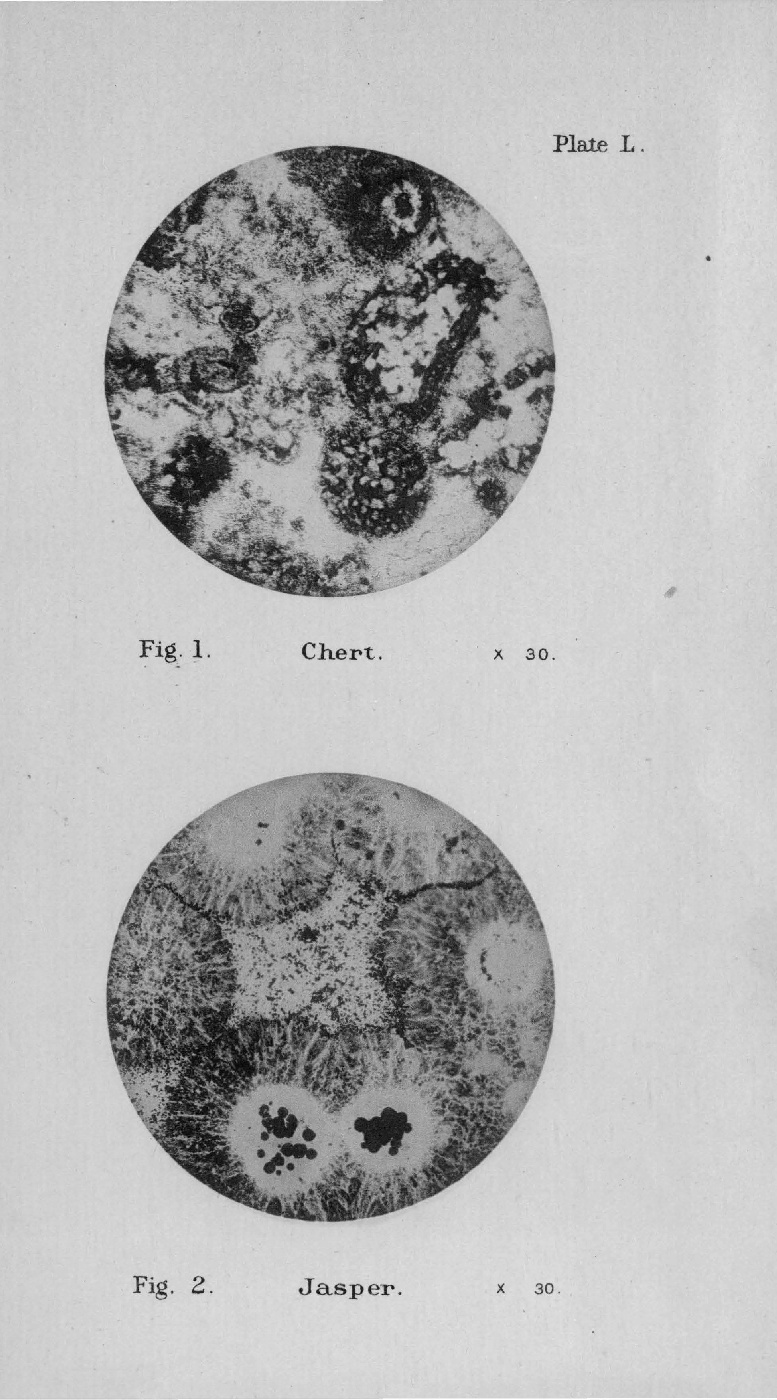 Chapter 16 The petrography of the Torridonian Formation | GeoGuide
