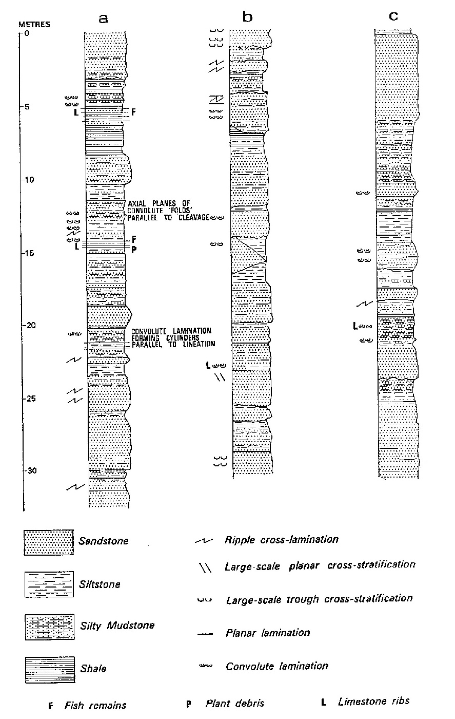 Chapter 8 Old Red Sandstone: Walls Formation | GeoGuide