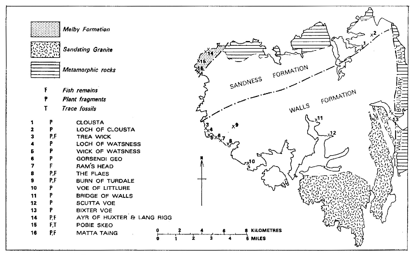 Chapter 7 Old Red Sandstone: Sandness Formation | GeoGuide