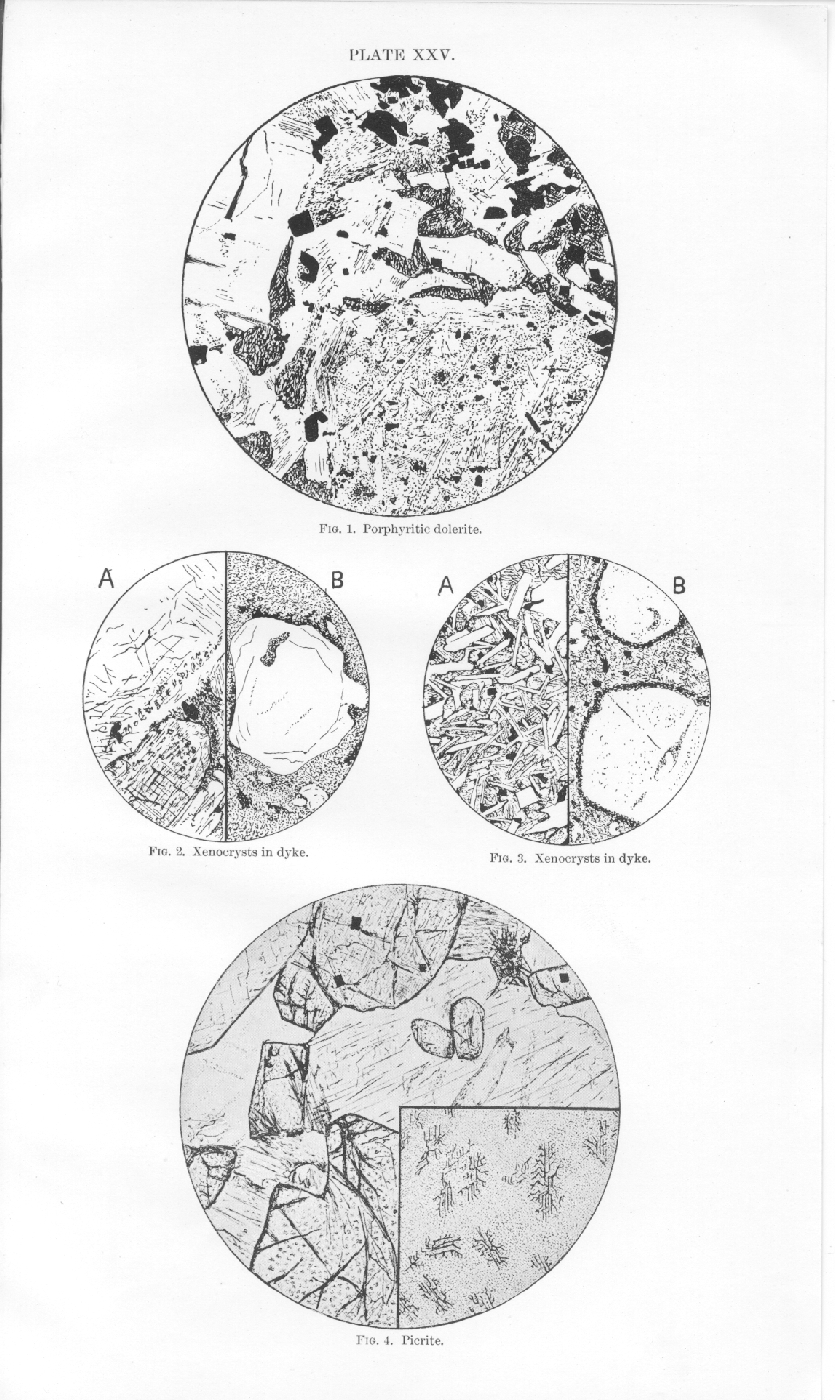 Chapter 6 Peridotites (earlier group) | GeoGuide