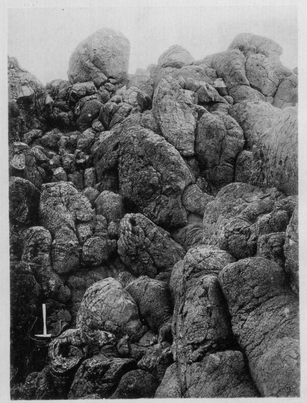 | GeoGuide