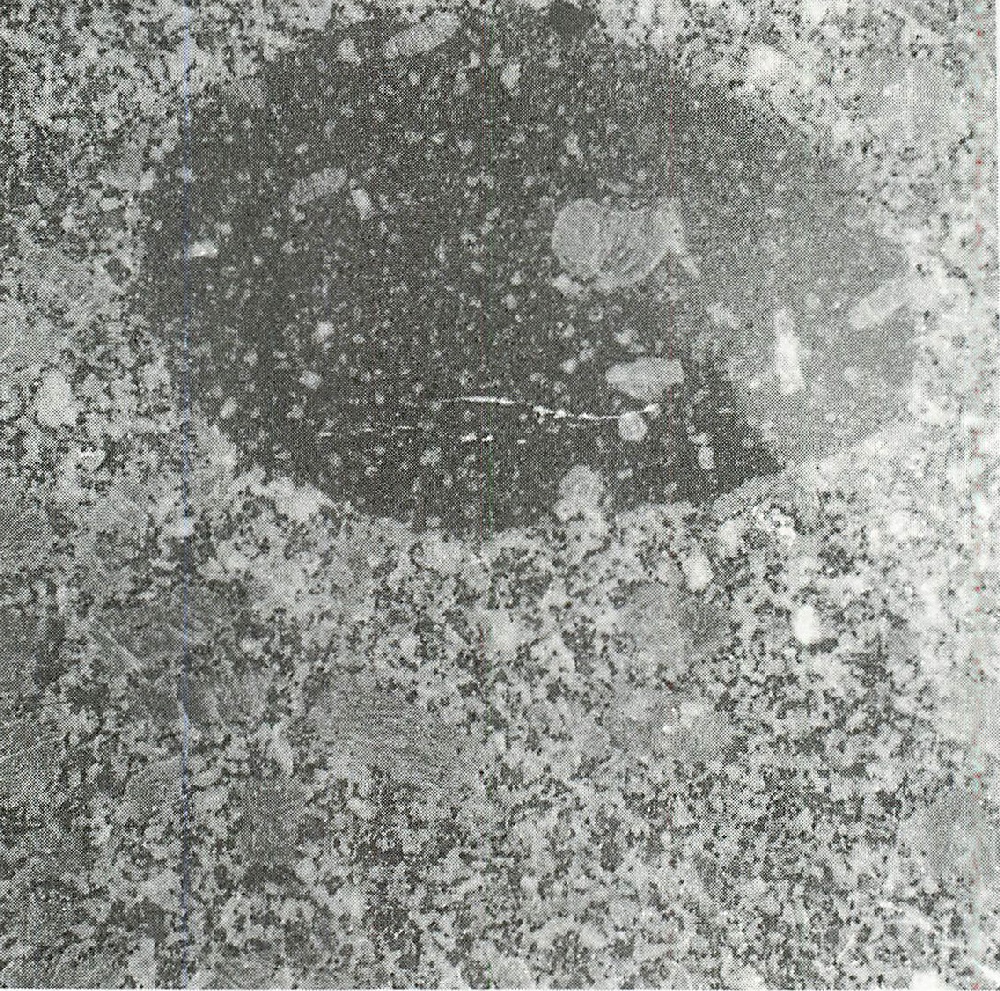 2 The Shap Granite | GeoGuide