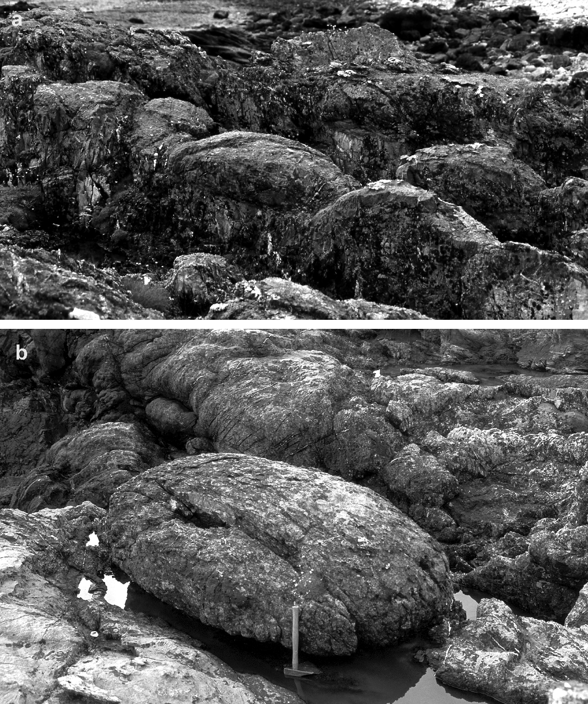 4 Rubha a’ Mhail, Islay | GeoGuide