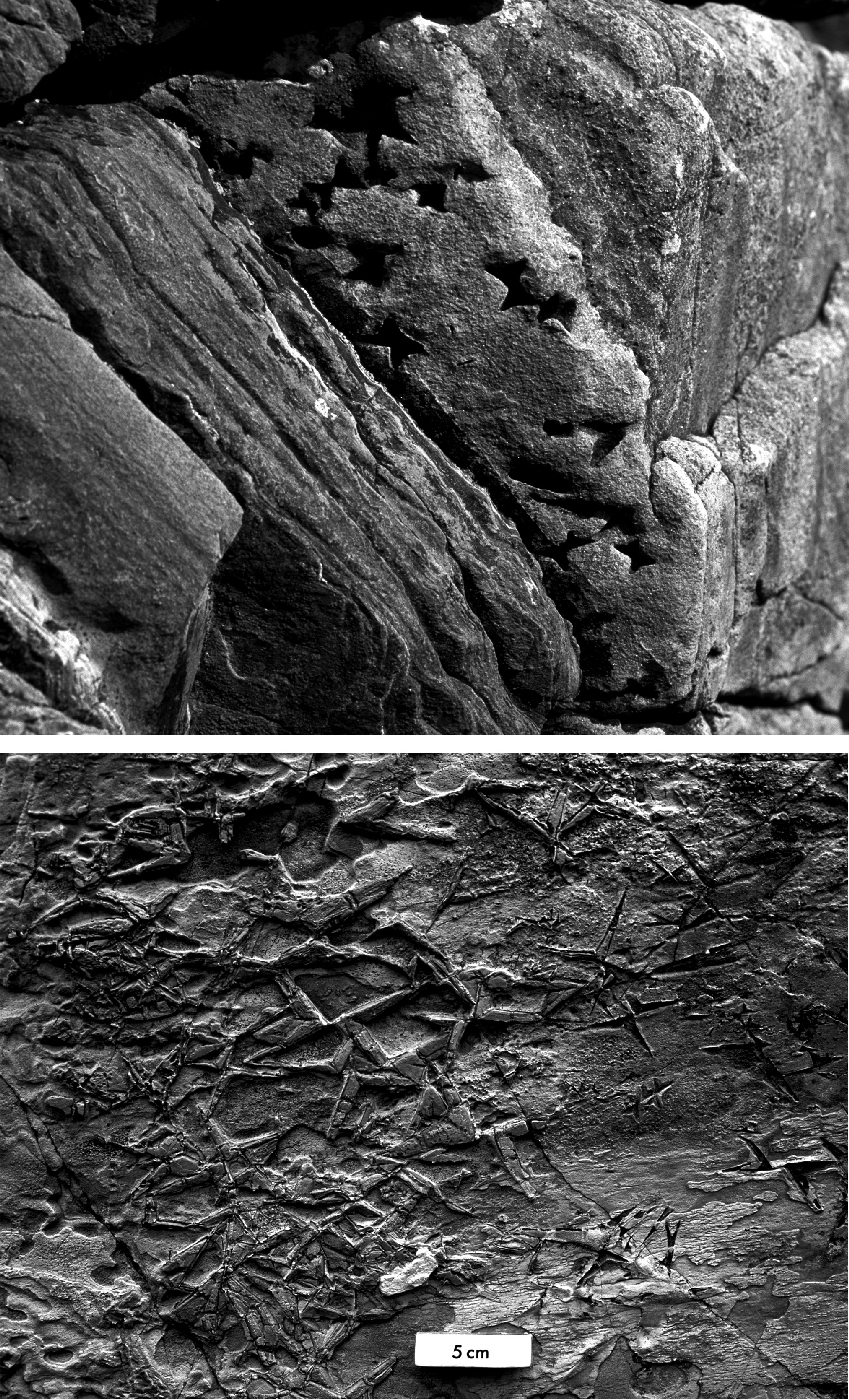 12 Craignish Point | GeoGuide