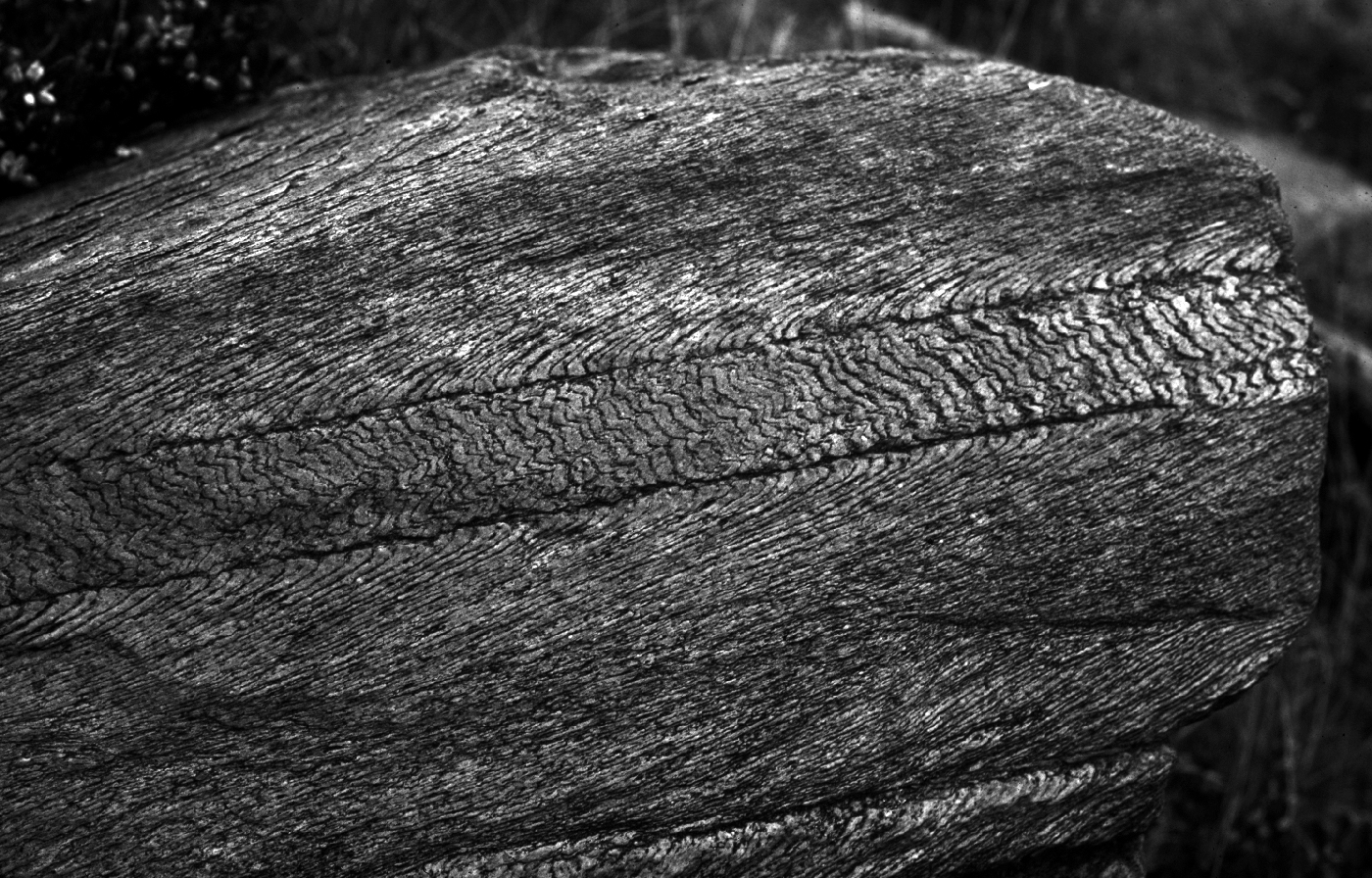 The Dalradian rocks of Scotland: an introduction | GeoGuide